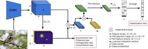 Figure 1 From Pdisconet Semantically Consistent Part Discovery For Fine Grained Recognition