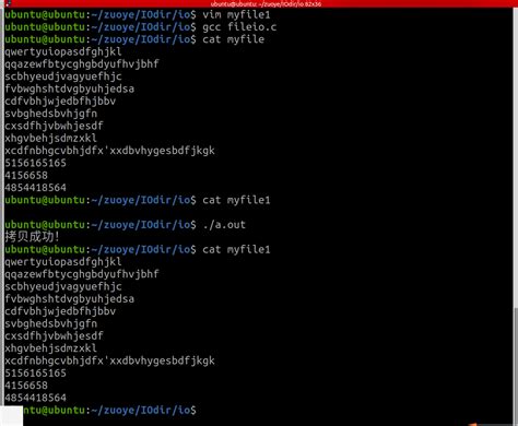 嵌入式开发学习———linux环境下io进程线程学习（二） Csdn博客