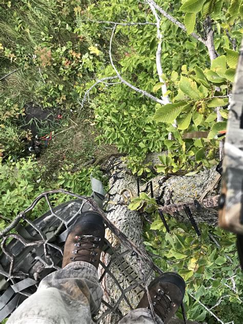 55 F9 A3 D8 E449 4535 A014 F36443 Fb9 A1 D — Postimages