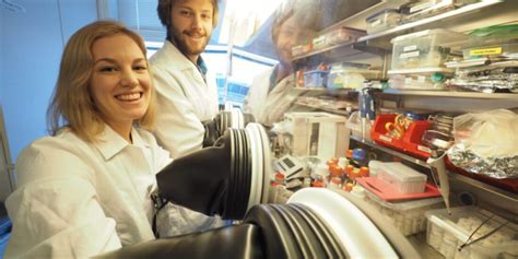 挪威科技大学开发新型电解质 用于制造更好的锂离子电池 新能源 汽车产业观察网 关注汽车生活每一天