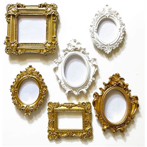 Expansion Pack Frames For DIY Insect Kit Squirrel Tacos