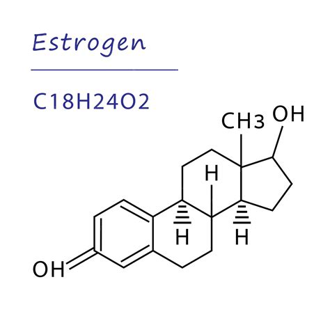 Premium Vector Chemical Structure Of Molecule Estrogen Female Sex
