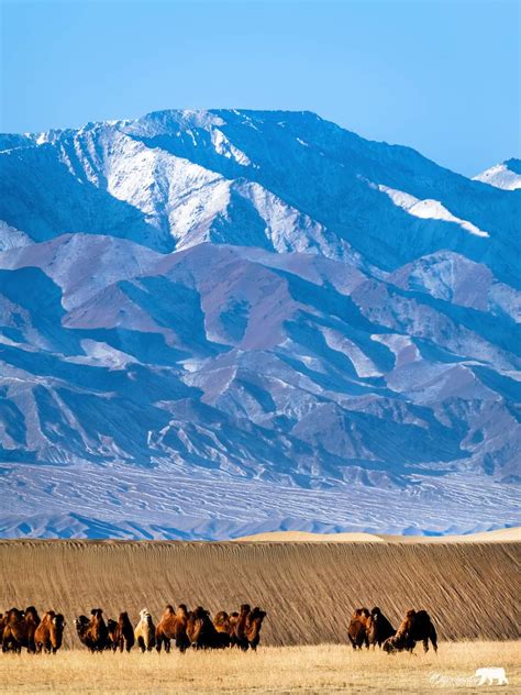 Nyamkhuu Banzragch On Twitter Rt Munkhuu 13 Өглөөний мэнд ээ Mongolia