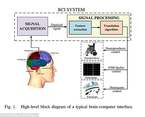 Hackers Could Get Inside Your Brain Daily Mail Online