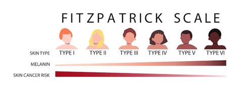 Premium Vector Fitzpatrick Scale Skin Types Infographic Vector Illustration