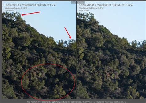 Voigtlander Nokton 50mm F1 0 Vm Z 知乎