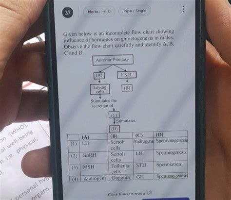 Marks I Type Single Given Below Is An StudyX