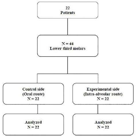 Chemical Structure Of Dexamethasone Download Scientific Diagram