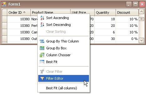 End User Capabilities Filter Editor Building Filter Criteria WinForms Controls DevExpress