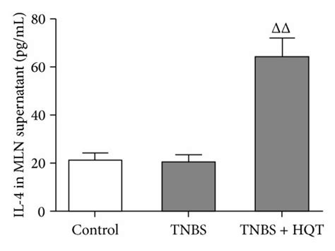 Hqt Regulates Protein Levels Of Th1 Th2 Th17 And Treg Related
