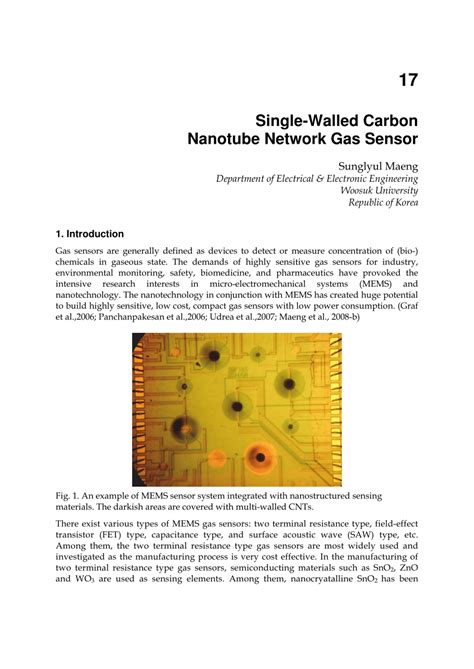 Pdf Single Walled Carbon Nanotube Network Gas Sensor