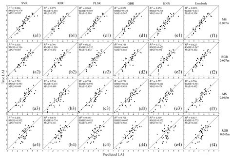 Leaf Area Index Estimation Of Pergola Trained Vineyards In Arid Regions Based On Uav Rgb And