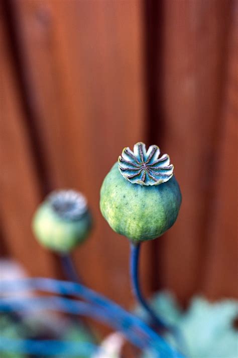 Exploring Graph Neural Networks Exciting Frontier At Kdd 2023 Ai