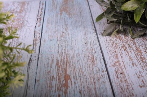 Premium Photo Background Texture Tree And Plant Background For Inscriptions