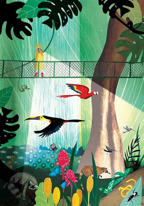 Biodiversity Illustration Forest Sketch Landscape Pencil Drawings