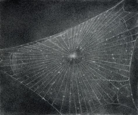 Vija Celmins Artinside