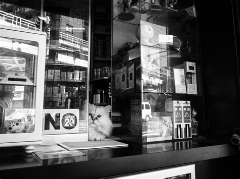 店番 GANREF