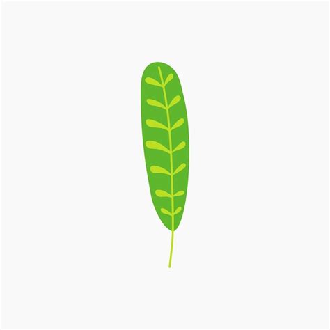 Premium Vector Tropical Leaf Element Premium Vector Tropical Leaf Element