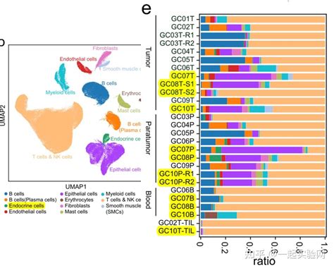 胃癌的scrna Seq显示了复杂的细胞间相互作用和可选择的t细胞衰竭轨迹 知乎