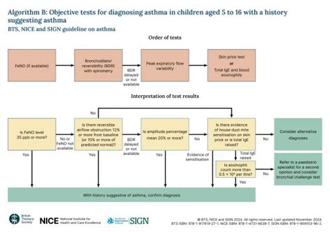 Asthma Diagnosis And Management Geeky Medics