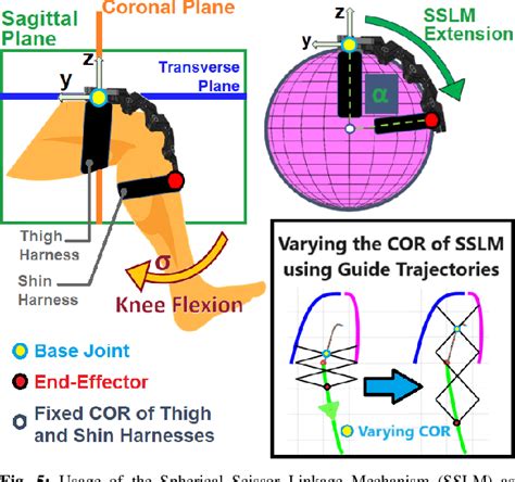 Figure 5 From Design Of A Knee Joint Exoskeleton To Reduce Misalignment In Both The Sagittal And
