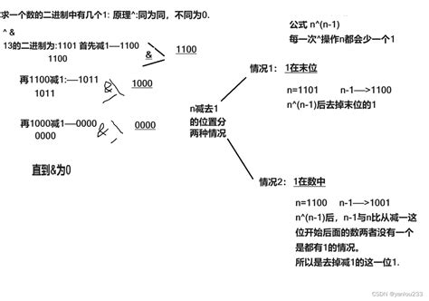 利用 操作计算二进制中 和 的个数 CSDN博客