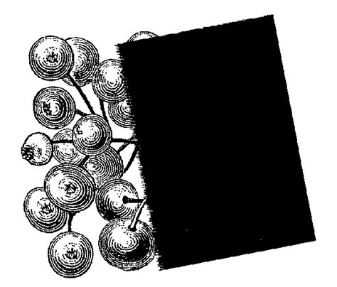 Print Problem With Rotated Image Adobe Community 10988240