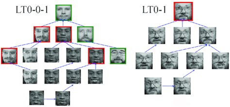 Two Example Subtrees Of Orl Face Data By Which The Effectiveness Of Download Scientific