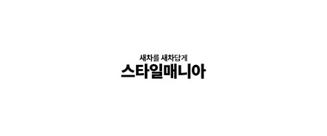 스타일매니아 신차 패키지