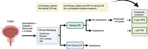 Schematic Representation Of The Design Of Hcrn Gu16 257 Patients With