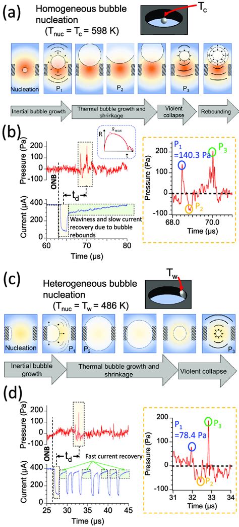 Nucleate Bubble Dynamics [ A C ] Schematic Overview Of Homogeneous