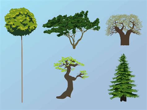 Tree Vectors Vector Art Graphics Freevector Com