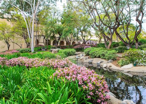 Caltech For Black Lives