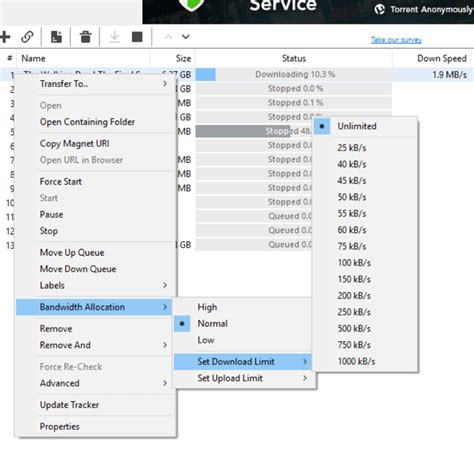 BitTorrent Vs UTorrent What Really Sets Them Apart