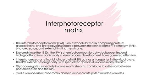 Retinal Biochemistry Ocular Biochemistry Pdf