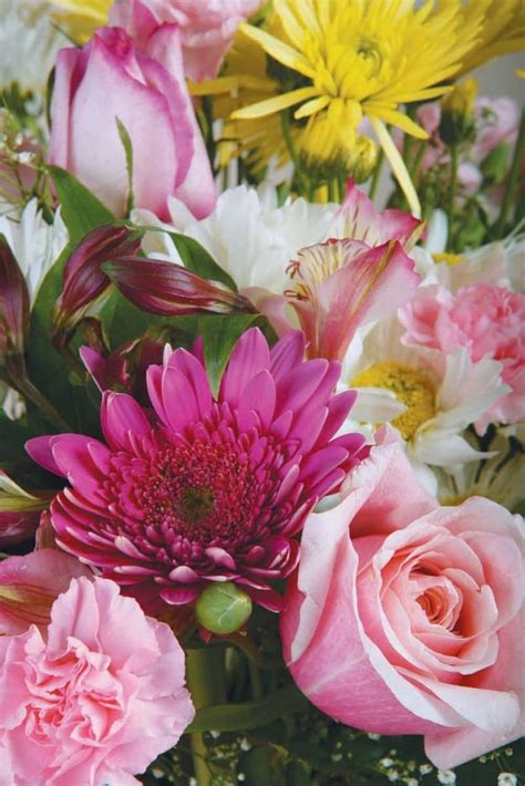 Assorted Flowers Prepared Food Photos