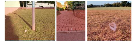 Essential Annotation Guidelines For Accurate Machine Learning Models