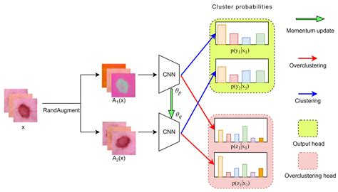 Applied Sciences Free Full Text Semi Supervised Medical Image