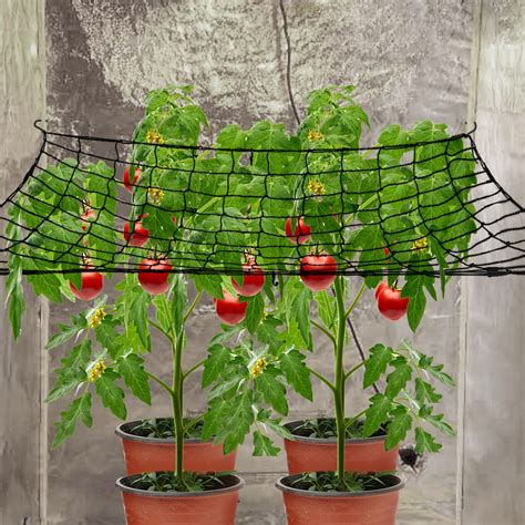 buy 4x4ft trellis net for grow tent easy to install scrog net with 6