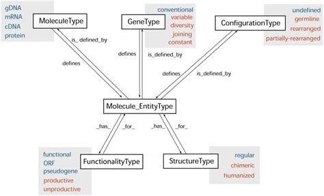 The “moleculeentitytype” Concept With Its Relations The Download Scientific Diagram