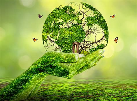 엔텍바이오에스