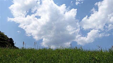 くろの雑記帳3 青空と雲