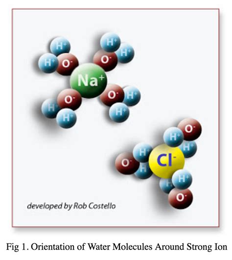Electrolytes Dissociation Of Strong Ions Calf Sessions