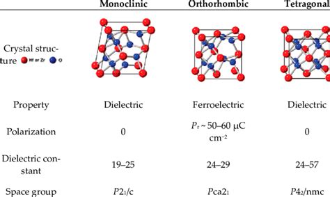 Key Characteristics According To Representative Polymorphs Of Download Scientific Diagram