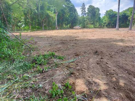 ขายที่ดินย่านไนท์ซาฟารี สวนราชพฤกษ์ 1 ไร่เศษ ต หนองควาย อ หางดง จ เชียงใหม่ Ennxo