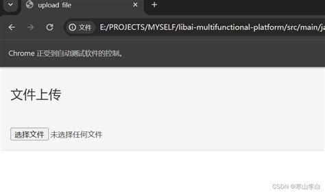 selenium模拟浏览器自动上传文件的操作实现 java selenium 上传文件 csdn博客
