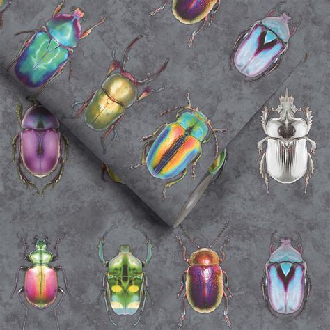 Download Colorful Bug Wall Insects Decor Wallpaper Wallpapers Com