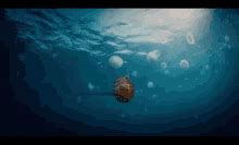 Tree Of Life Animation GIFs Tenor