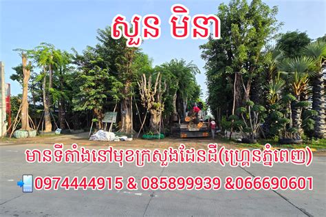 ម៉ែ មីង ថ្លែន អូន សុជាតា Facebook