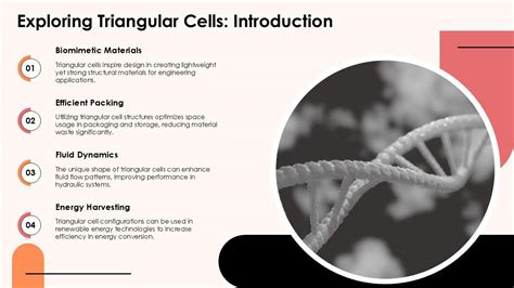 Exploring Triangular Cells Structure And Functions Ppt Template St Ai Ppt Powerpoint